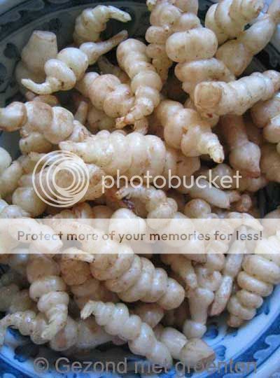 Crosne (Japanse andoorn)