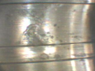 Pitting in barrel after only 2 range trips | Rimfire Central Firearm Forum