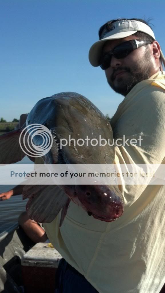 alligator gar sam rayburn style | 360 Tuna Fishers Forum