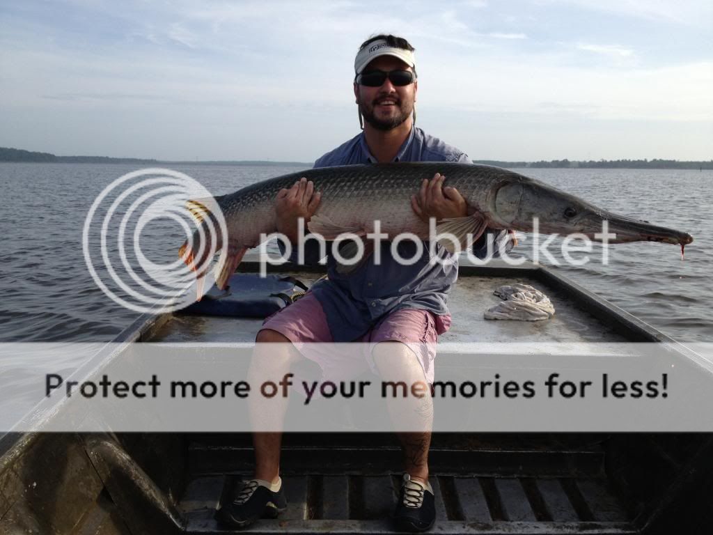 alligator gar sam rayburn style | 360 Tuna Fishers Forum