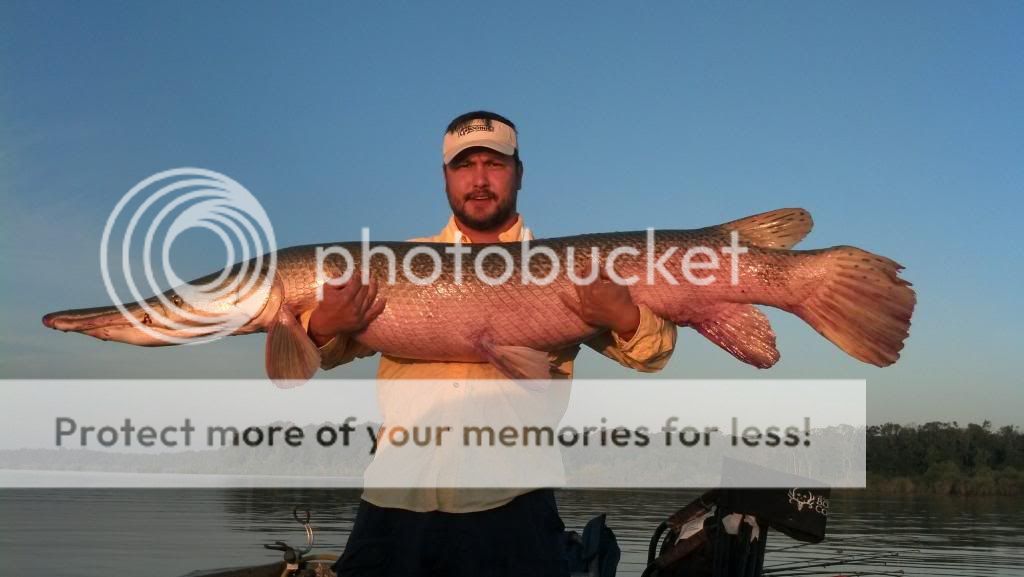 alligator gar sam rayburn style | 360 Tuna Fishers Forum