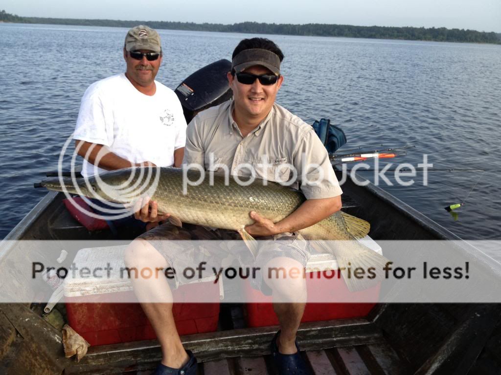 alligator gar sam rayburn style | 360 Tuna Fishers Forum