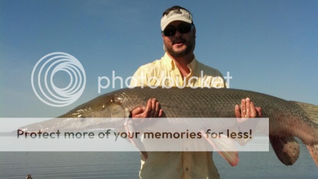 alligator gar sam rayburn style | 360 Tuna Fishers Forum