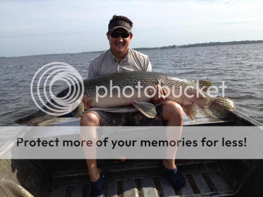 alligator gar sam rayburn style | 360 Tuna Fishers Forum