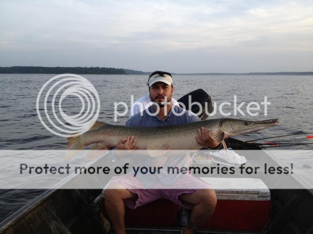 alligator gar sam rayburn style | 360 Tuna Fishers Forum