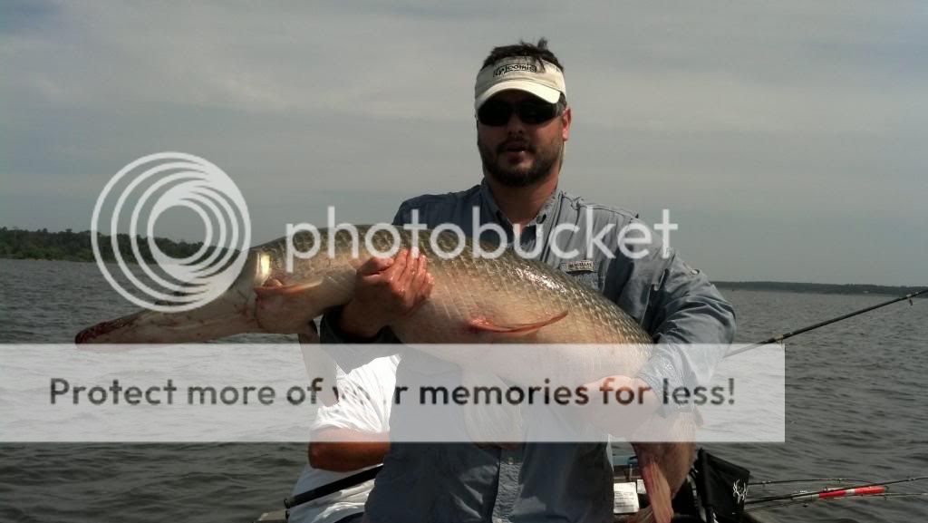 alligator gar sam rayburn style | 360 Tuna Fishers Forum