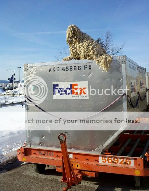 FedEx 1/20th LD3 - Work in Progress - Aircraft - Britmodeller.com